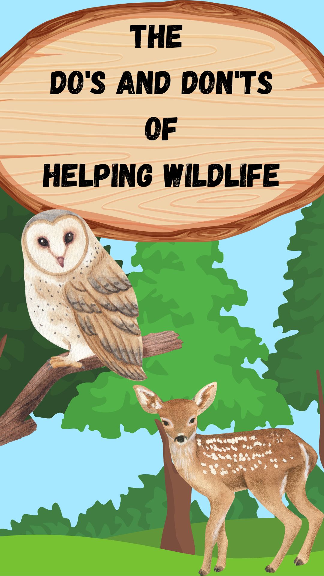 IN-PERSON: The Do's and Don'ts of Helping Wildlife | Sayville Library