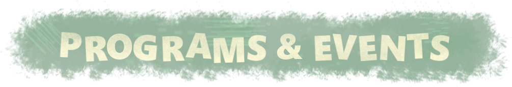 Summer Reading | Sayville Library